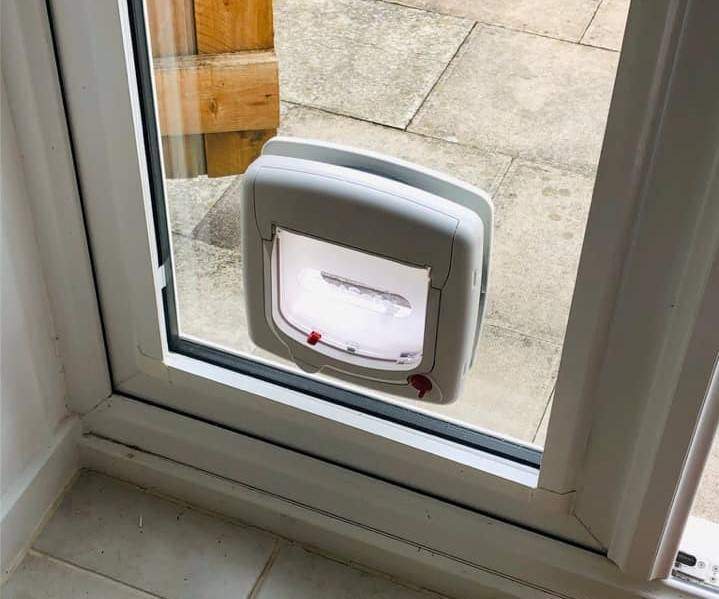 Pet Entry Safety - Window Fix